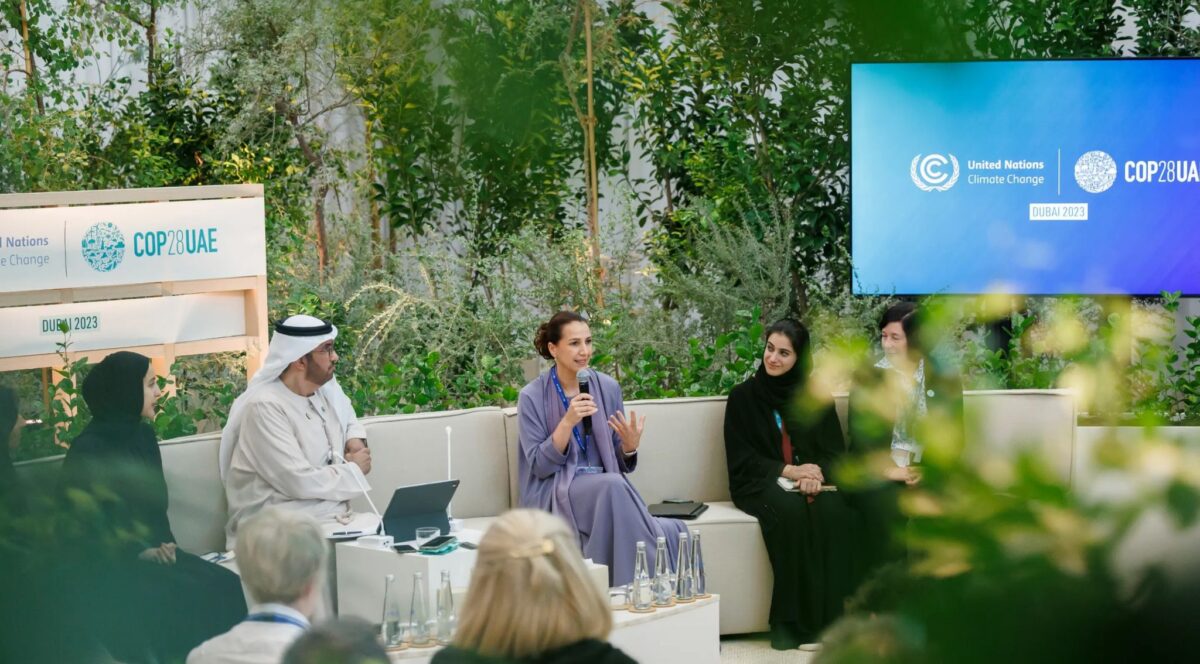 COP28 Recap: A pivotal moment for global climate action - Dulas